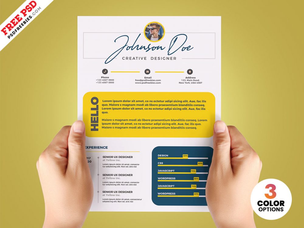 Cool Resume CV Design Template PSD – Download PSD